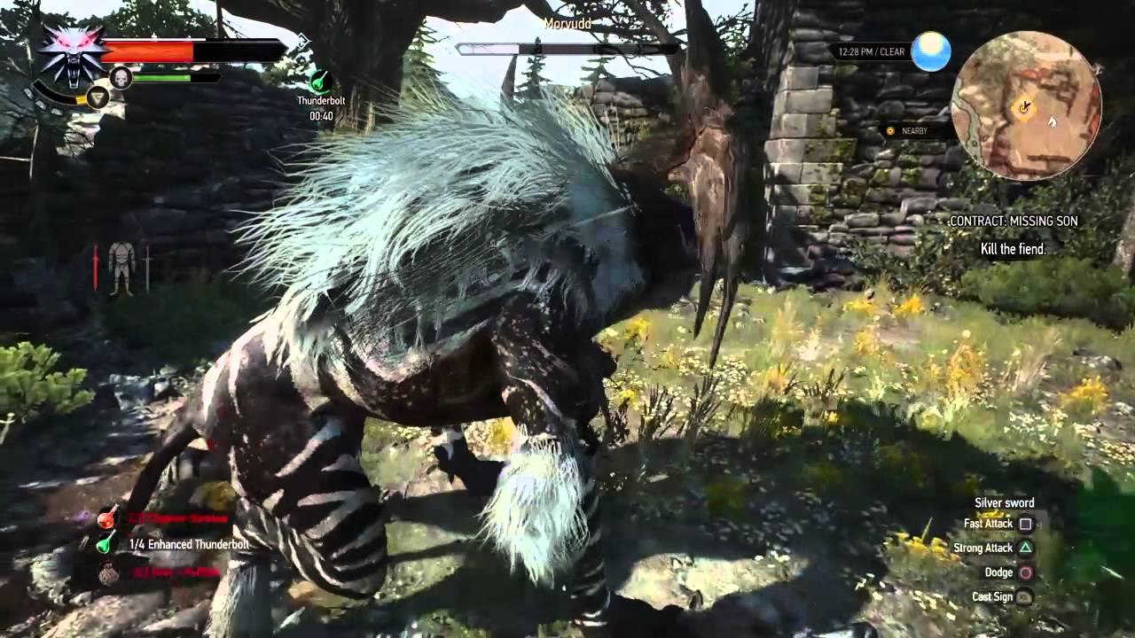 The Witcher 3 | ALL BOSSES #27 Morvudd, amazing Witcher Contract! - YouTube