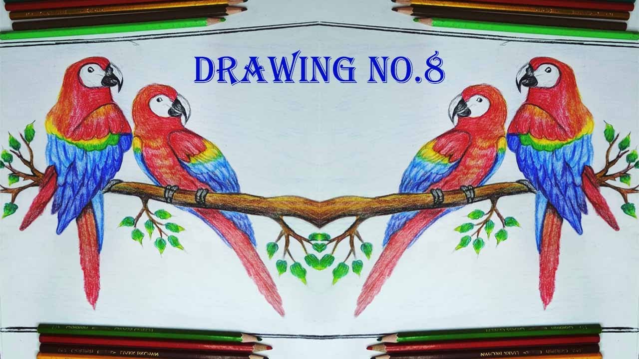 Beautiful Parrot Drawing Step by Step | How to Draw color parrot | Bird ...