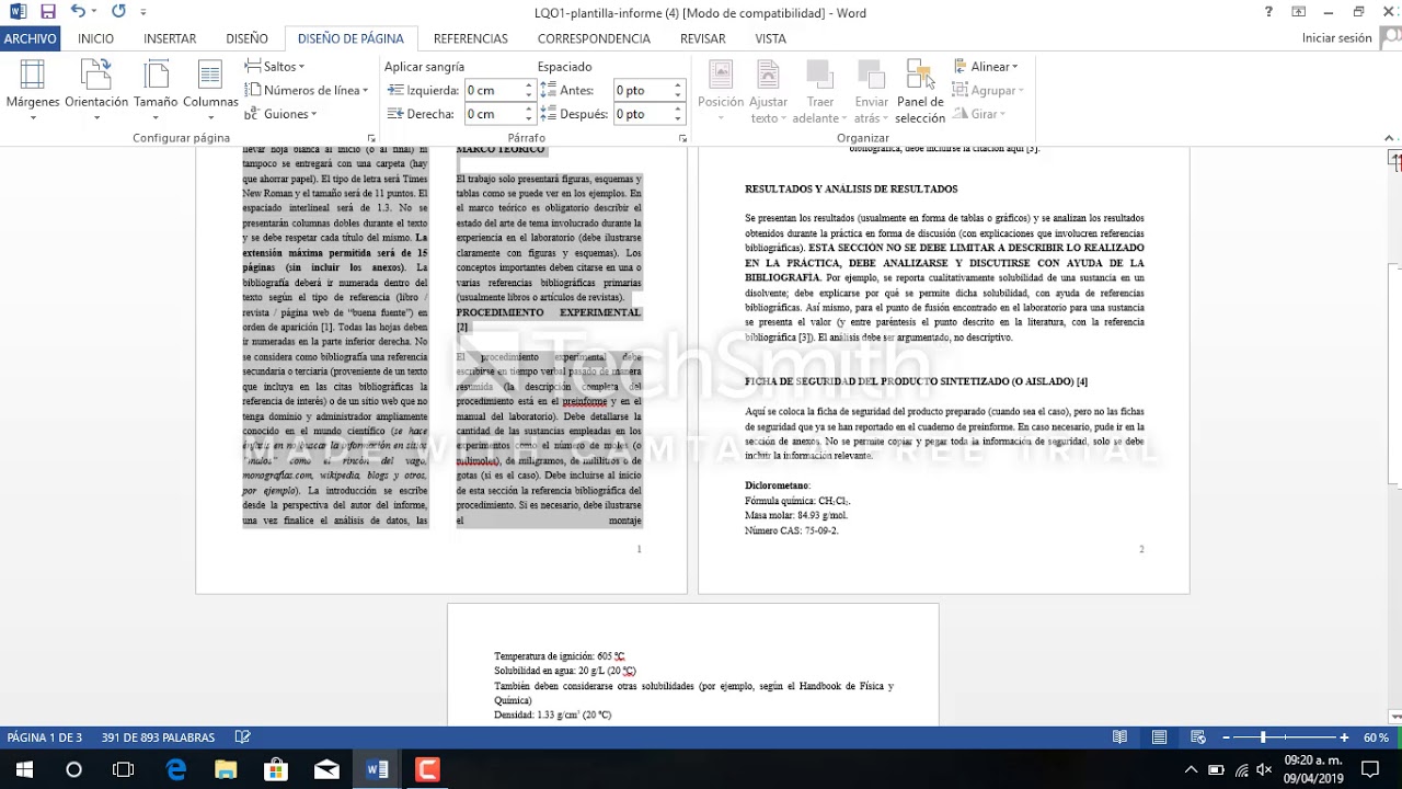 Modelo De Informe En Word