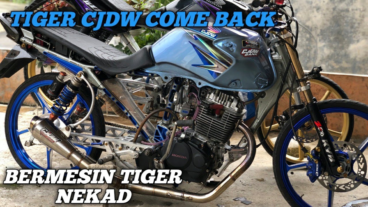 TIGER CJDW COME BACK || BERMESIN TIGER NEKAD - YouTube
