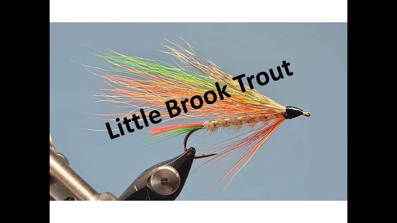 The Little Brook Trout Streamer - YouTube