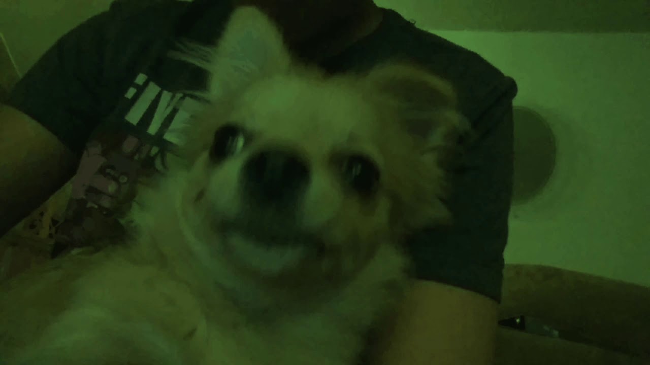 zomnomnom - YouTube