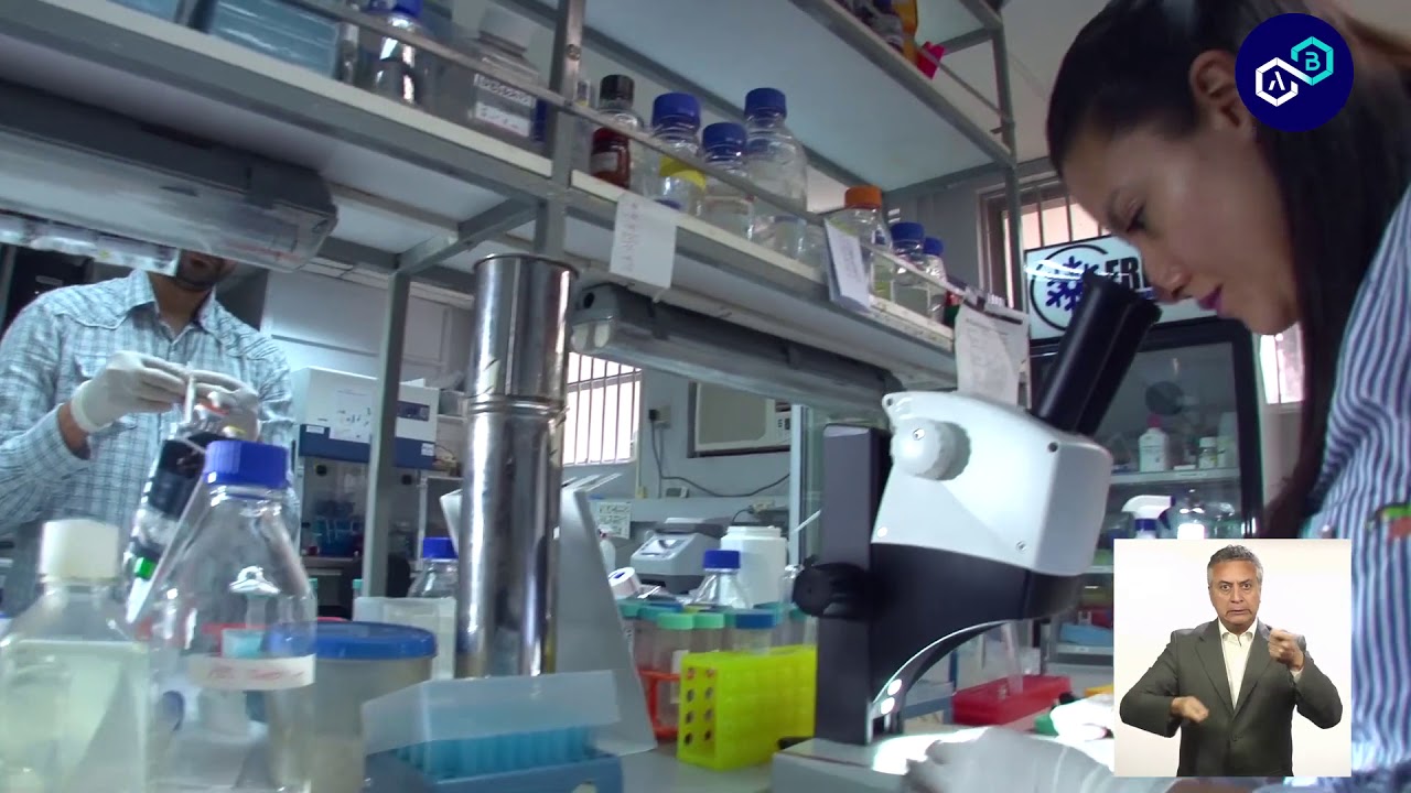 PROGRAMA DE EMPRENDIMIENTO APTA BUILDER - YouTube