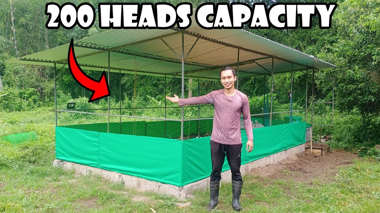 My 200 sqft Free-Range Chicken Grower House - YouTube