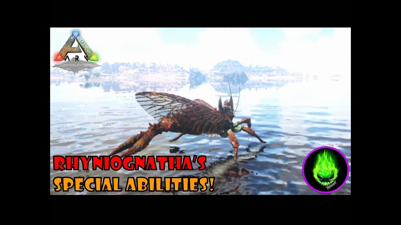 Ark - How To Use Rhyniognatha's Special Water Abilities! - YouTube
