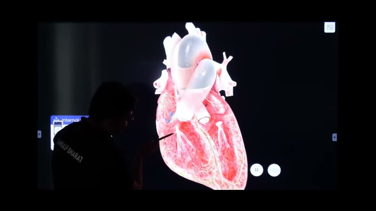 detail of human heart in 3d animation - YouTube