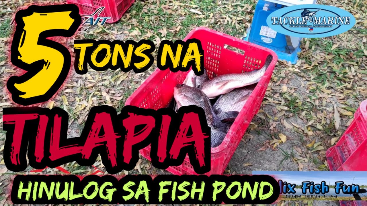 5 TONS NA TILAPIA HINULOG SA RELIX FISH FUN | FISH POND | PLA PLA ...
