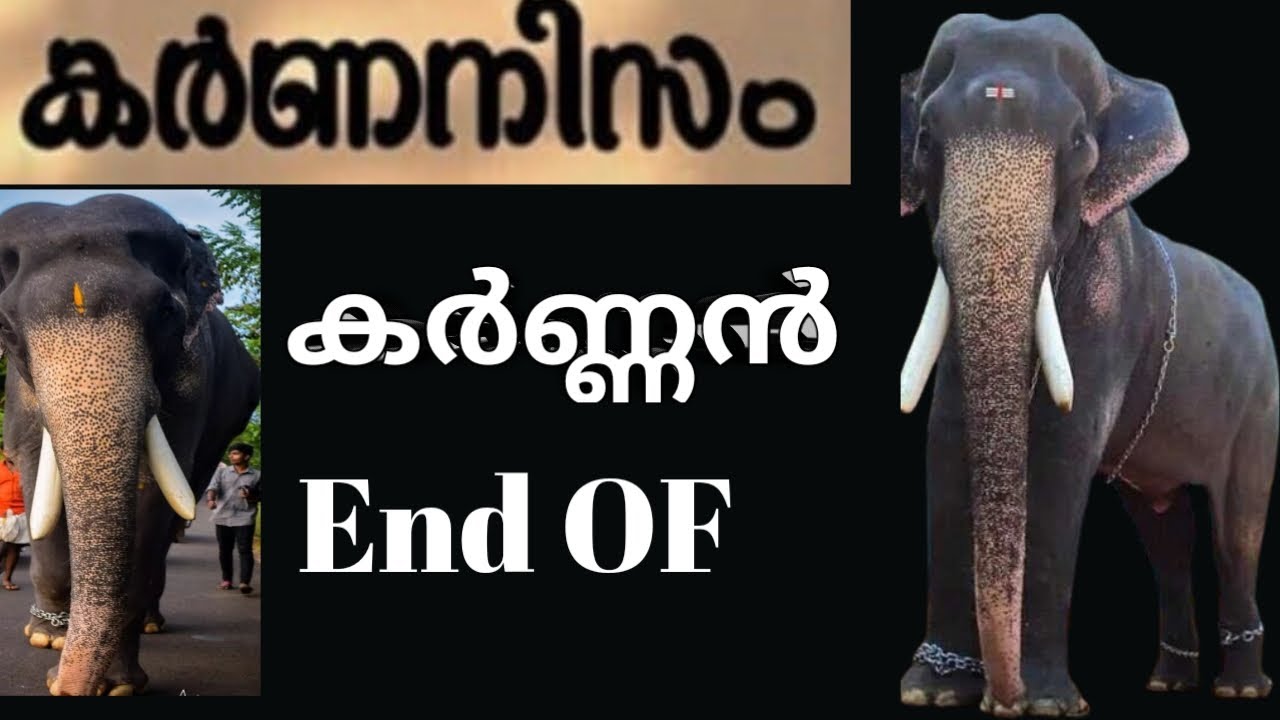 Mangalamkunnukarnan part..5 End | KGFversion | End of Karnan🤩💯💯💯 # ...