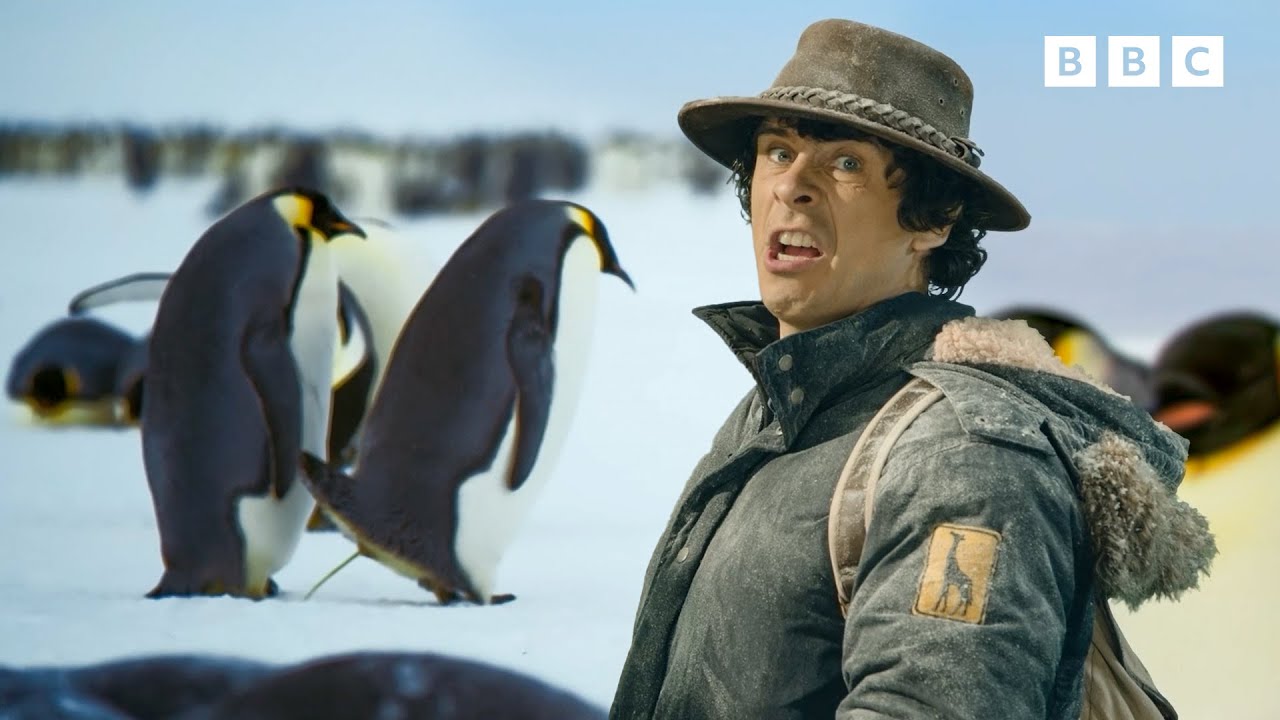 Penguin Poo! | Andy and the Emperor Penguins 🐧 | Andy's Global ...