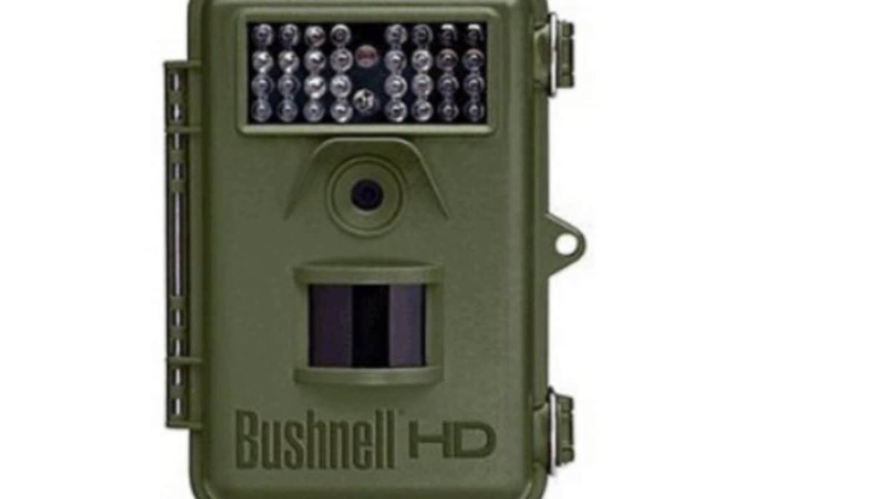 Bushnell Nature View Hd Hybrid Trail Camera With Night Vision - YouTube