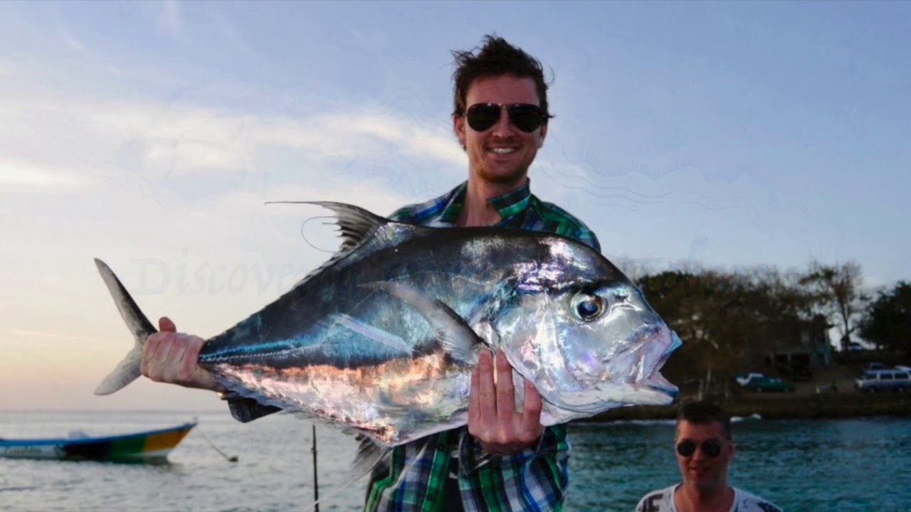 Fish Tobago Tours Buccoo Point Tobago - YouTube