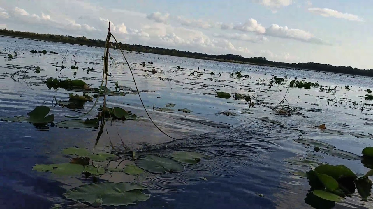 Watermelon pond - YouTube