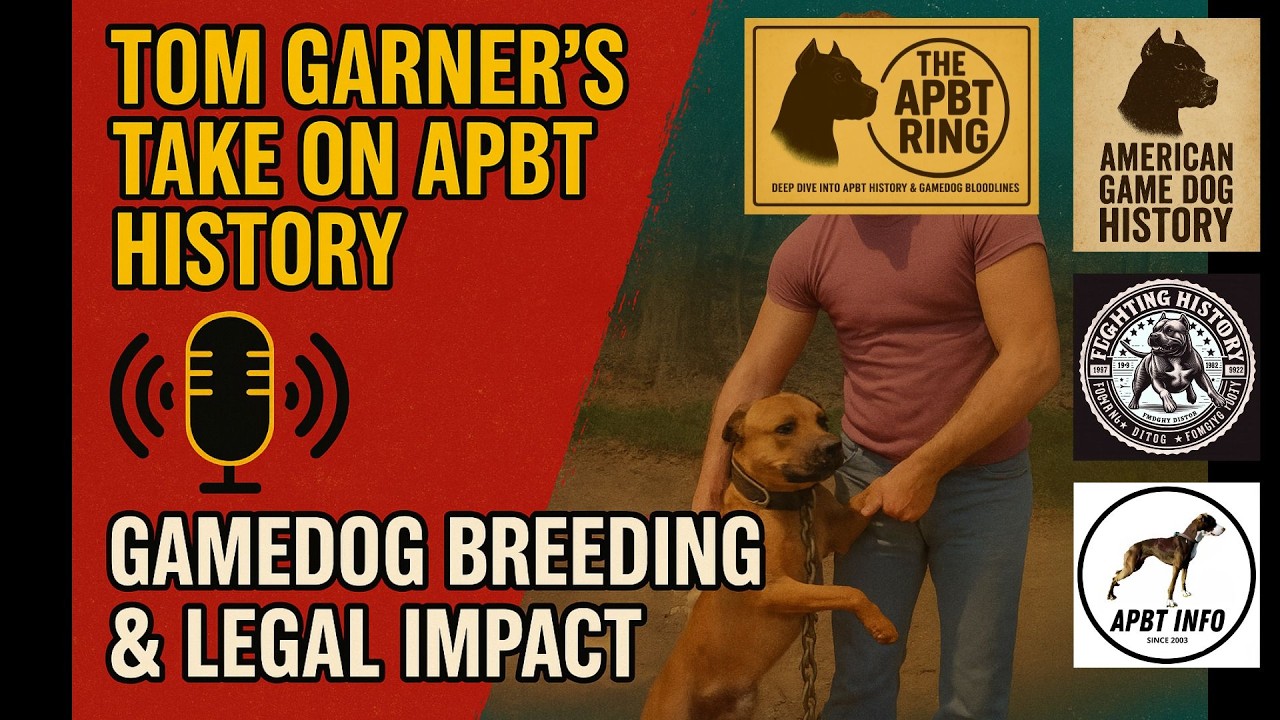 TOM GARNER | The Truth About PITBULL GAME DOG Controversies! APBT ...