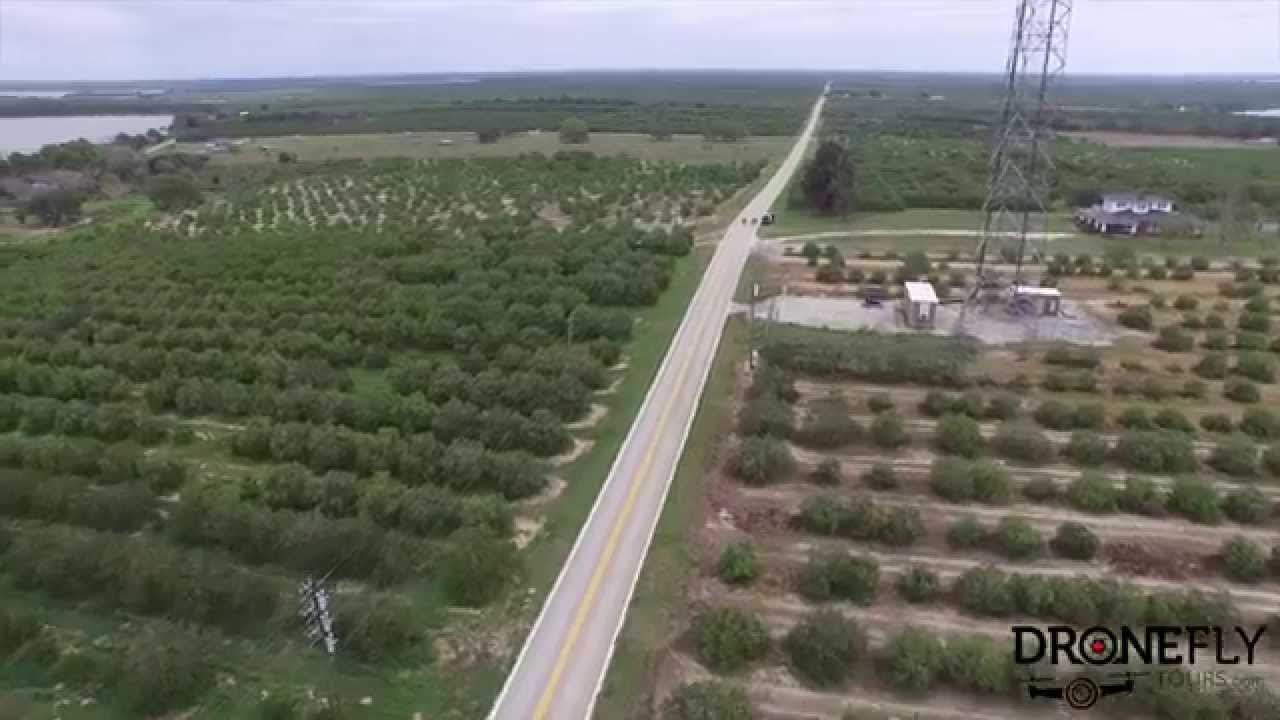 Orange Orchards in Florida by Drone SO COOL!!! DJI Inspire 1 by Green ...