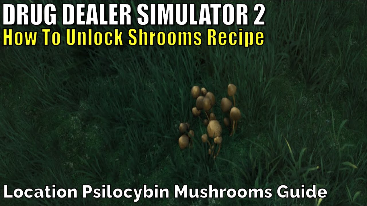 Drug Dealer Simulator 2, How To Unlock Shrooms Recipe And Location ...