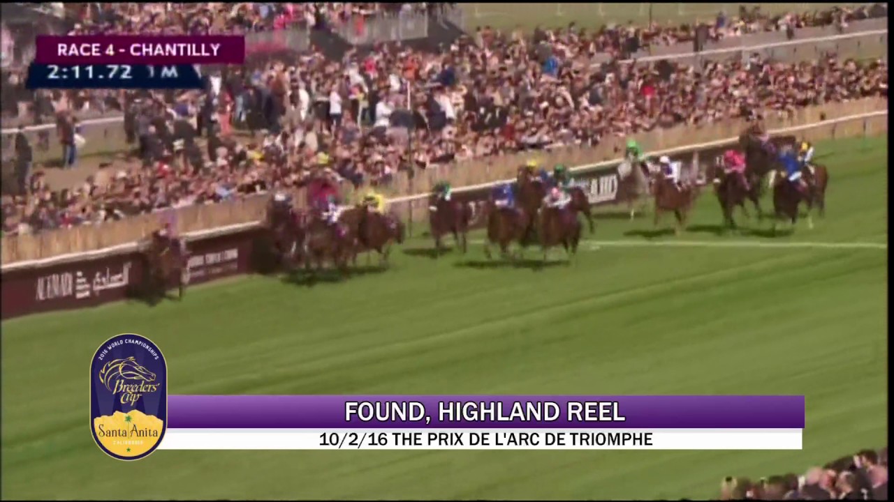 BC Turf Preview - YouTube