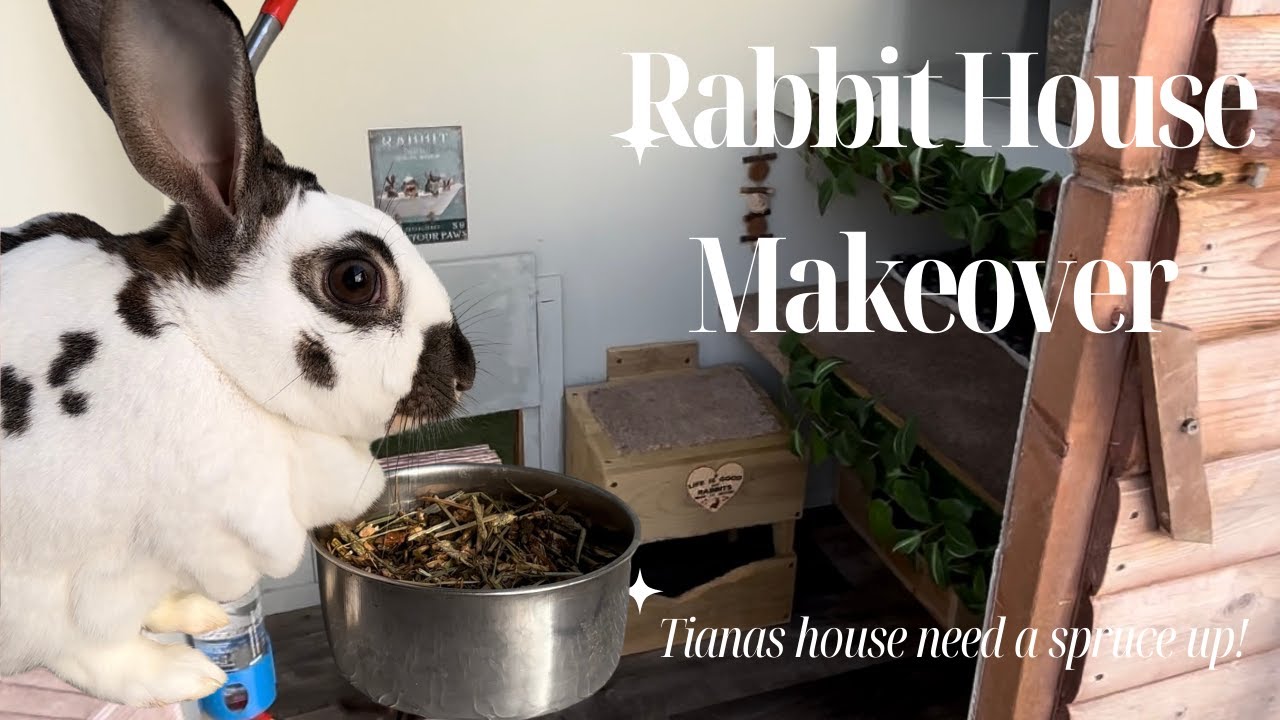 Rabbit House Makeover - YouTube