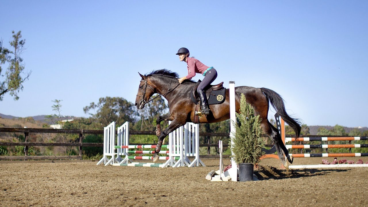 Beautiful Show Jumping with Bek Jarzombek - YouTube