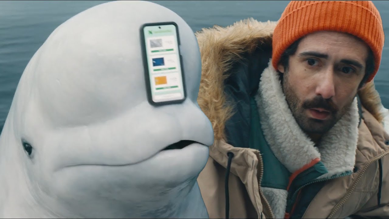 Nerdwallet Super Bowl Commercial 2025 Genius Beluga - YouTube