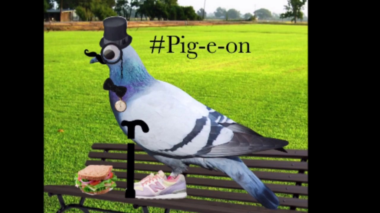 #Pig-e-on |Arctic Rainbows - YouTube