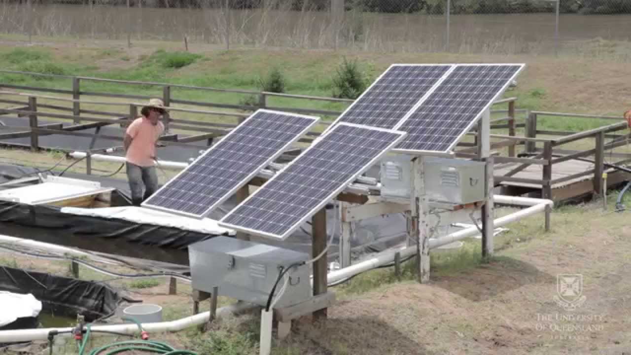 Farm Based Algae Production - YouTube