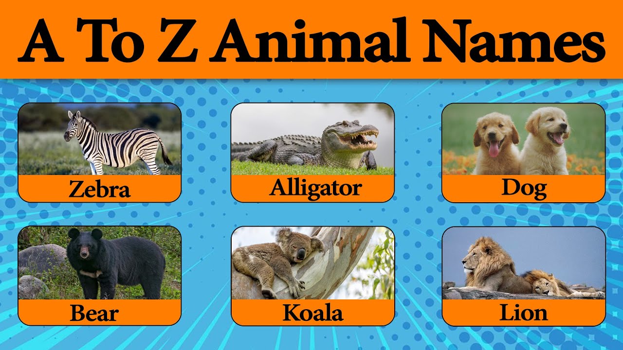 A To Z Animals Name | Animals Name With Picture | A To Z | Abcd | A to ...