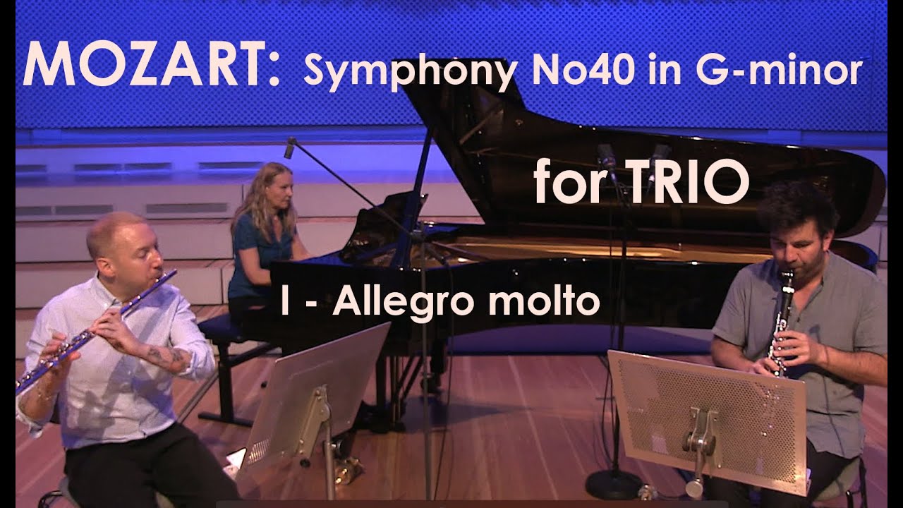Mozart Symphony No40 in g minor KV 550, I Allegro molto -Trio ...