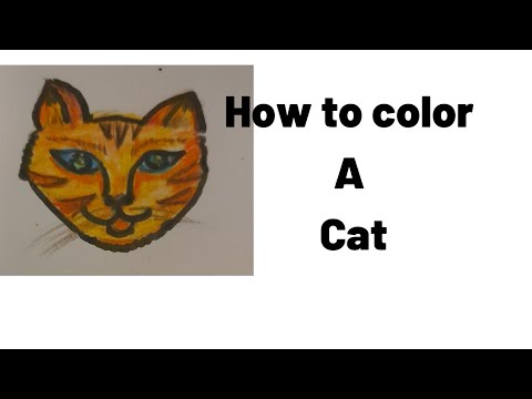"Stun Your Friends: How to Color a Cat in Under 5 Minutes!" | step by ...