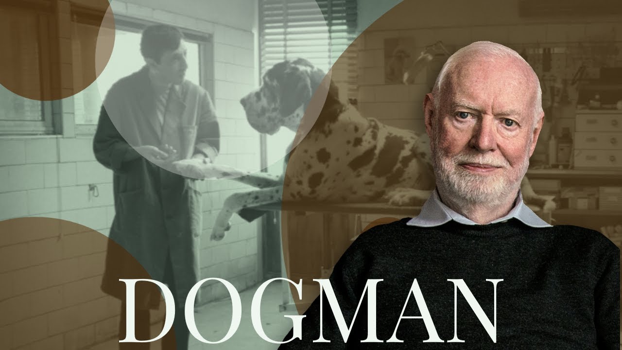 David Stratton reviews Dogman - YouTube