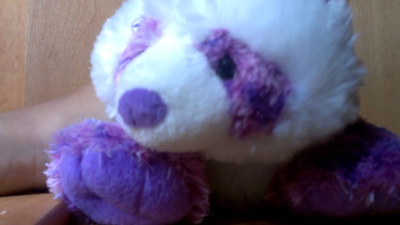 My new Webkinz! (Part 1) - YouTube