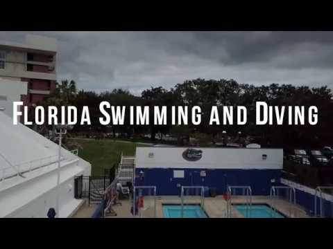 Training Like A Gator | The University of Florida Pool - YouTube
