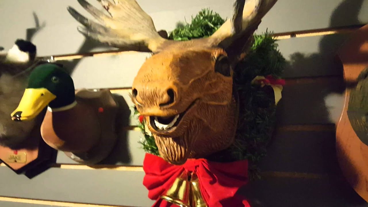 Singing moose head (mouth fixed) - YouTube