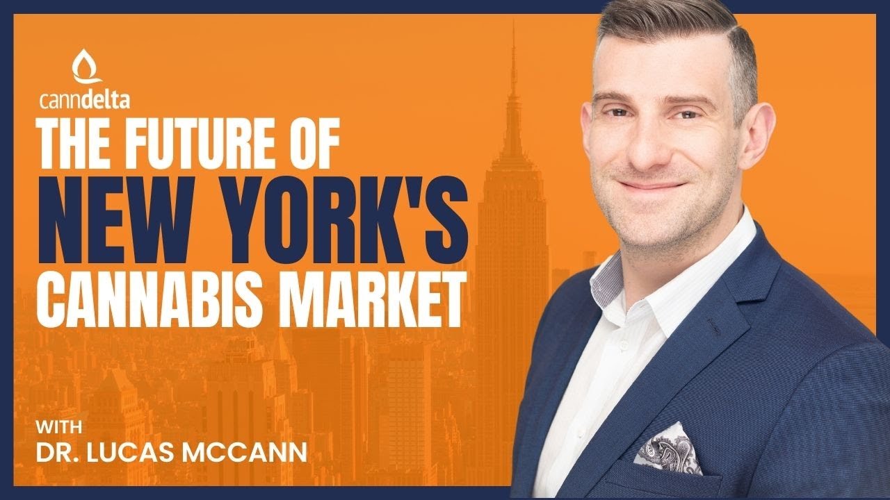New York Cannabis Licenses & The Future of New York’s Cannabis Market ...