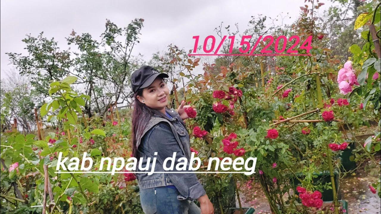 tau poj niam zoo ces muab rauj ho khaws luag qub poj nrauj los tsim yus 10/15/2024 - YouTube