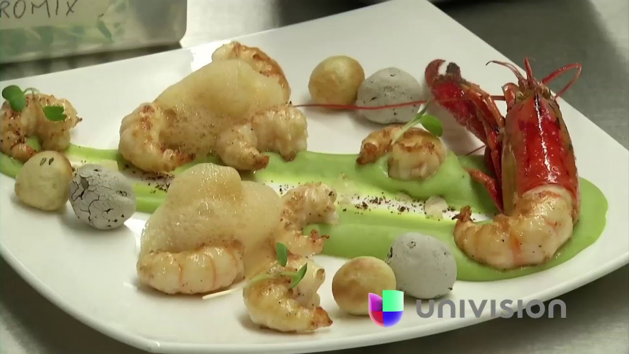 Univision 2013 Ivan Kisic - YouTube