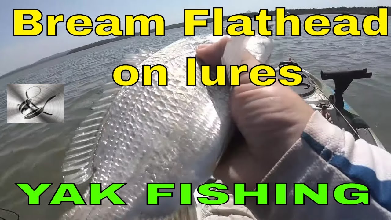 Fishing for Bream & Flathead on Lures | Yak fishing Fishing & Cooking ...
