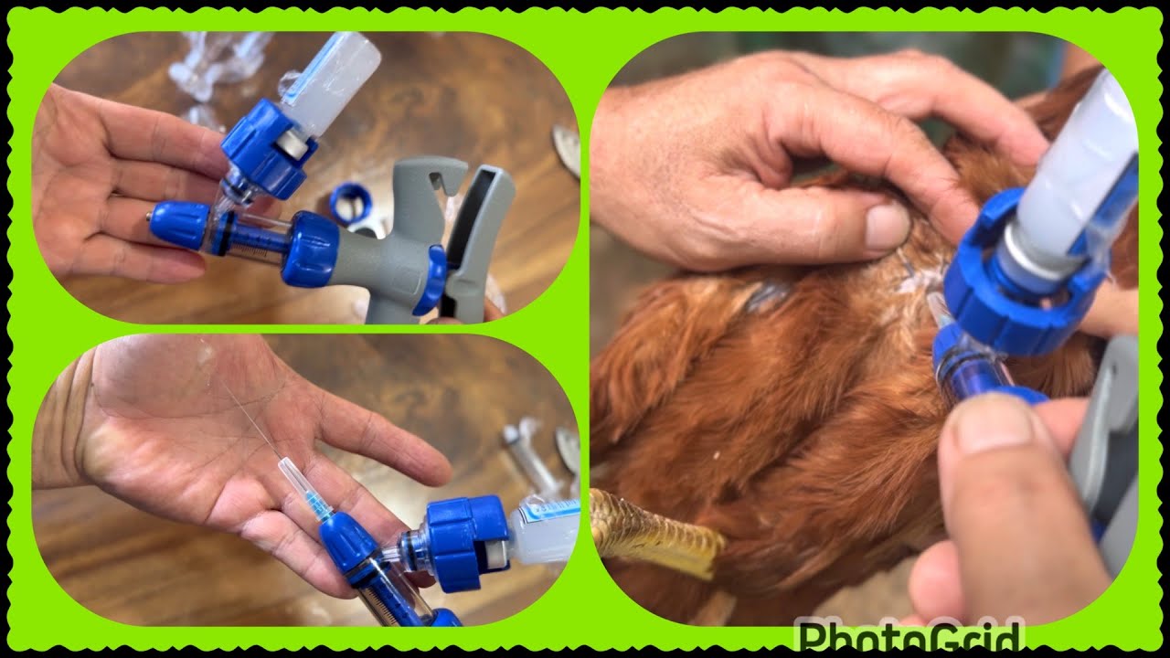 How to use Automatic Continuous Syringe safely/Simply Gardening - YouTube