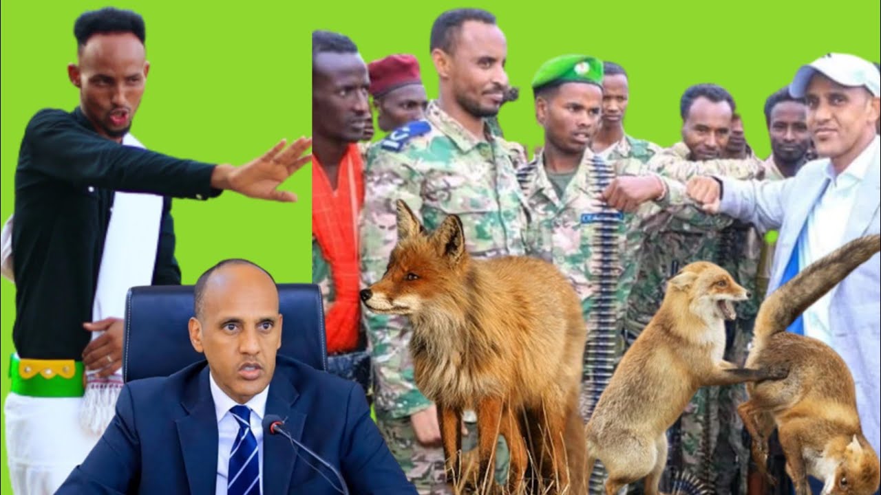 SHUCEYB YARE DHAANTO CUSUB DAWACADA NEW VIDEO DHAANTO KOOXDA QARAN BAND ...