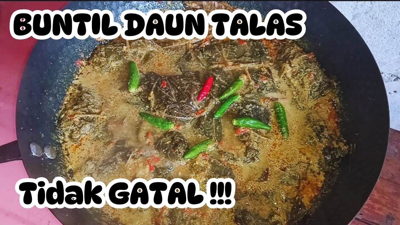 RESEP JUALAN BUNTIL DAUN TALAS / LUMBU CARA MASAK TIDAK GATAL PASTI ...