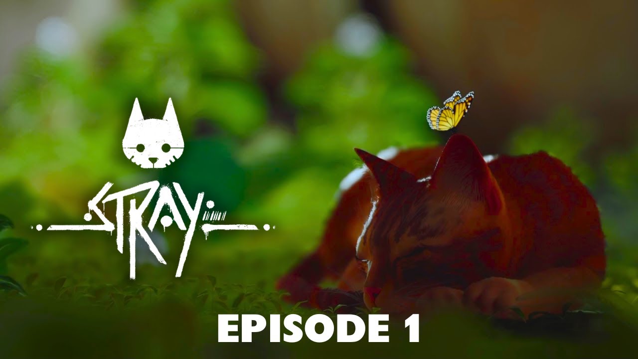 Stray PS5 Gameplay In 2025 Ep.1 [NO COMMENTARY] - YouTube