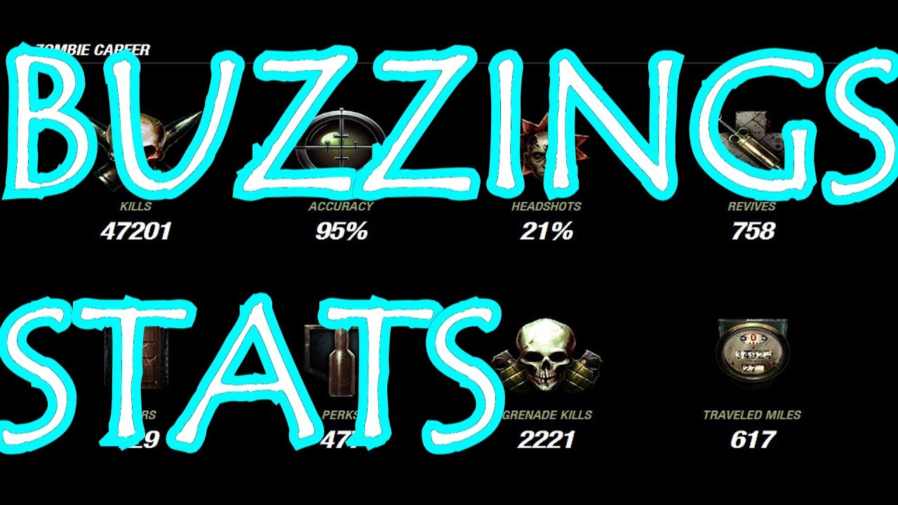 My stats for top black,ops 2 zombie rank emblem how i got rank 8 - YouTube