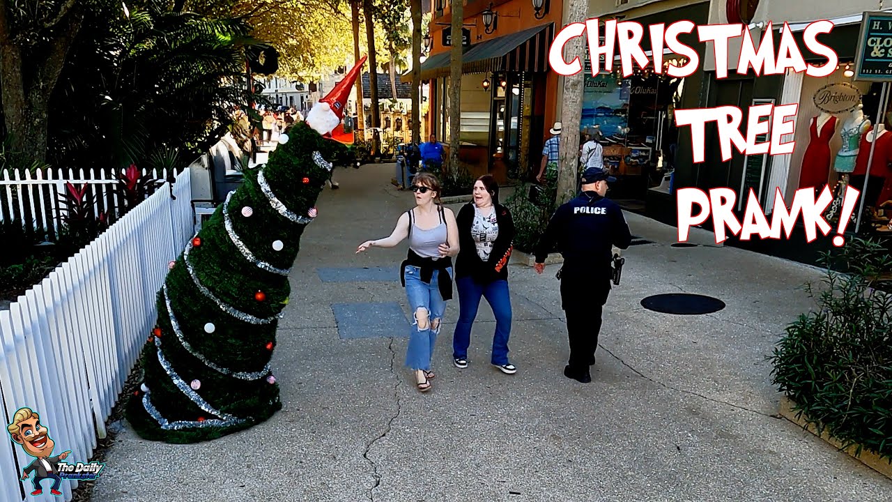 Cranky Christmas Tree - XMAS PRANK!! - YouTube