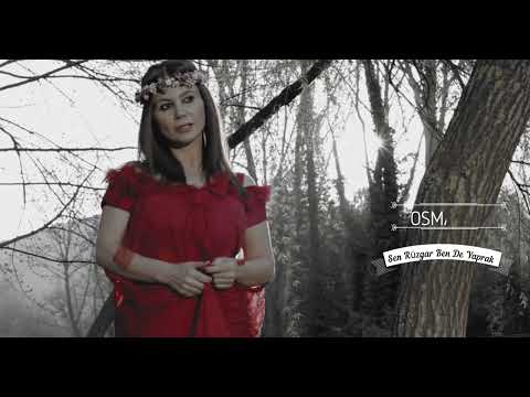 Hülya POLAT-Sen Rüzgar Bende Yaprak