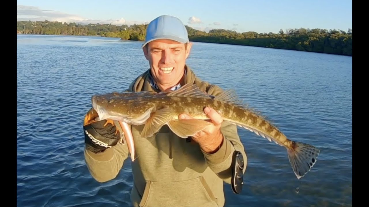 Topwater Flathead Tactics - YouTube