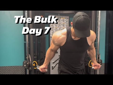 The Bulk Day 7- Arms - YouTube