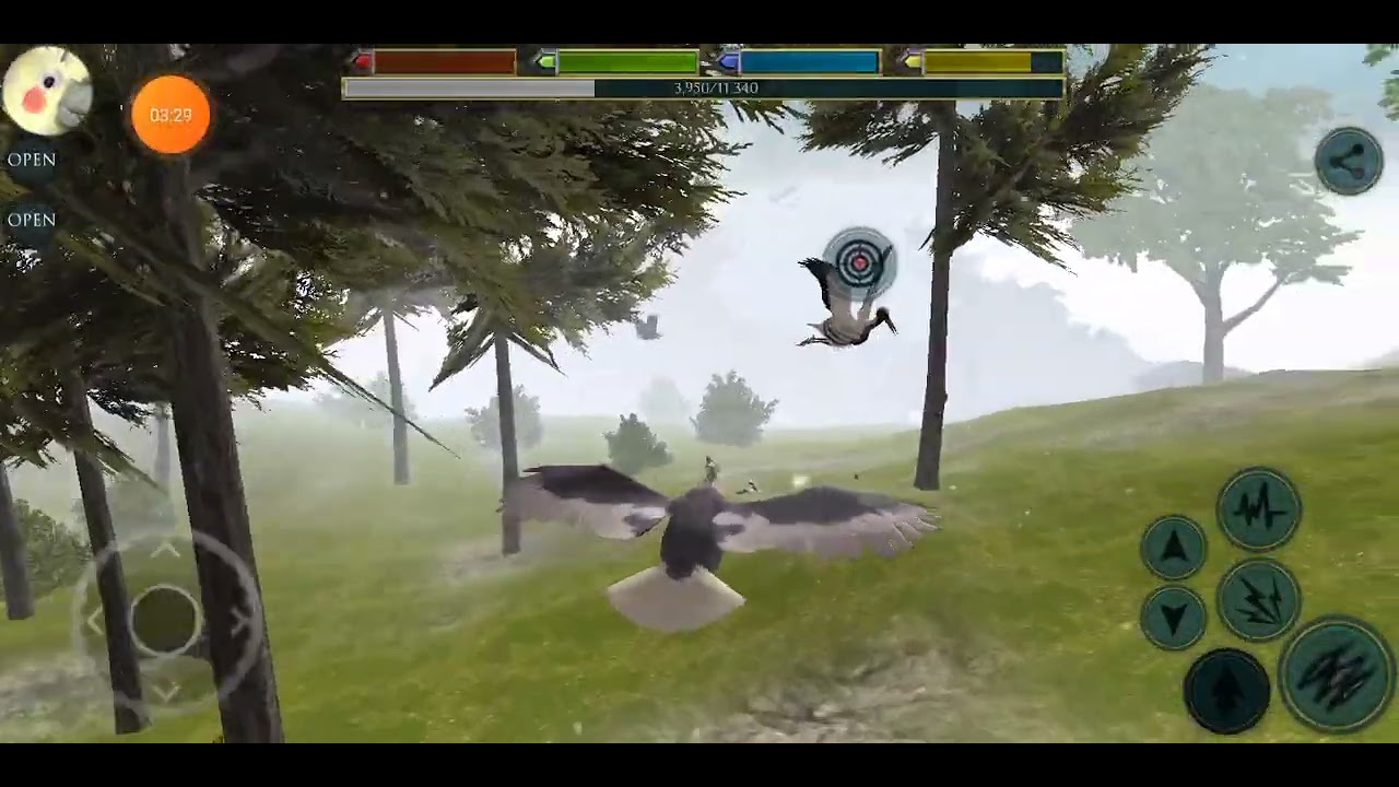 Ultimate Bird Simulator: Cockatoo - YouTube