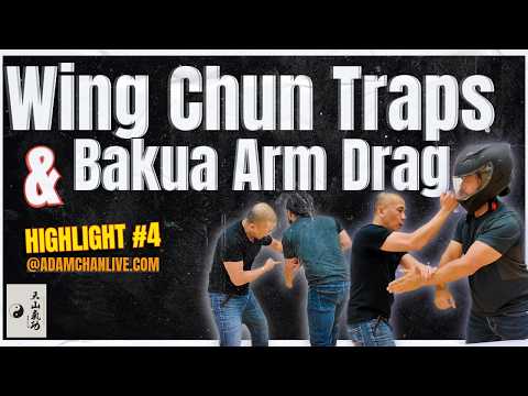 Wing Chun Traps & Bakua Arm Drag - Class Highlights #4 Adam Chan