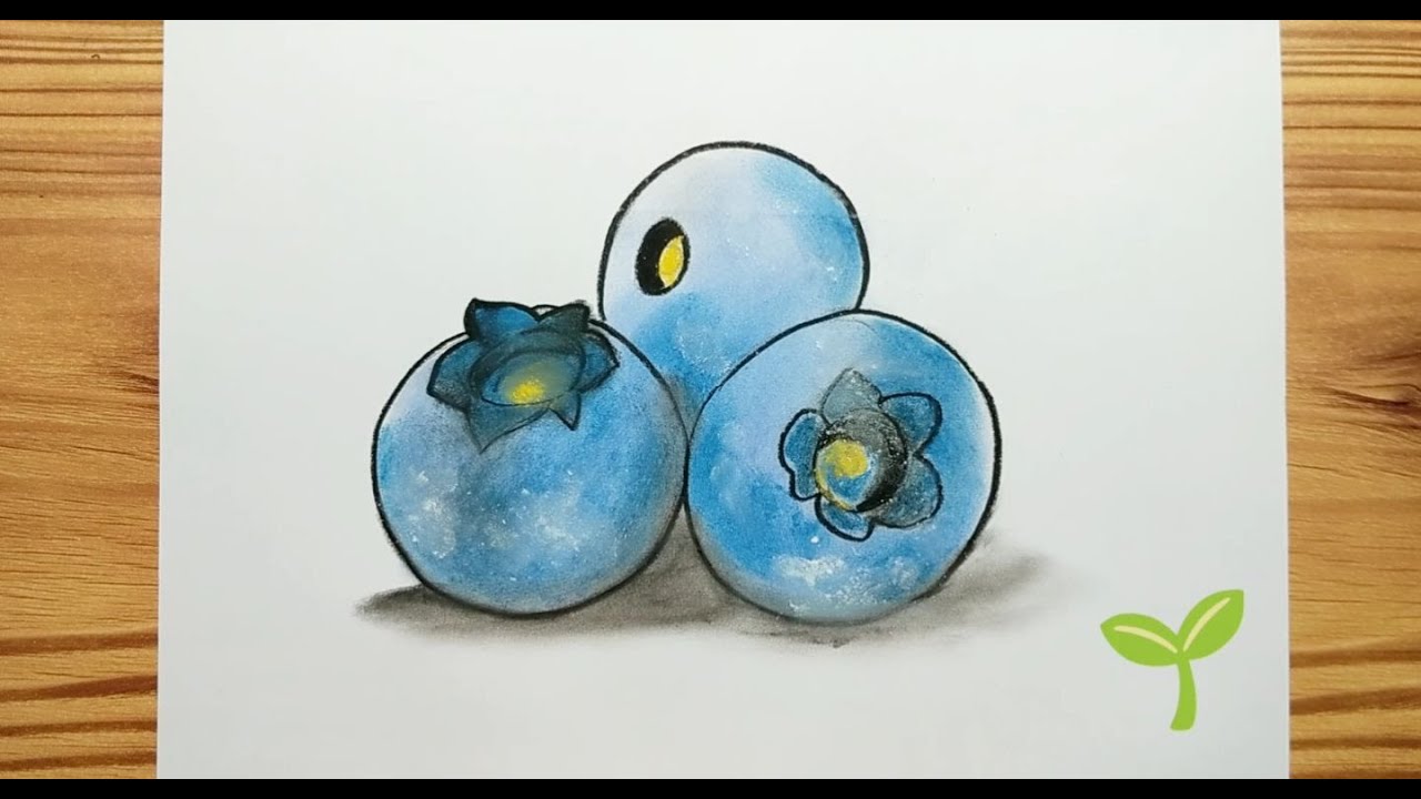 HOW TO DRAW REALISTIC BLUEBERRY - YouTube