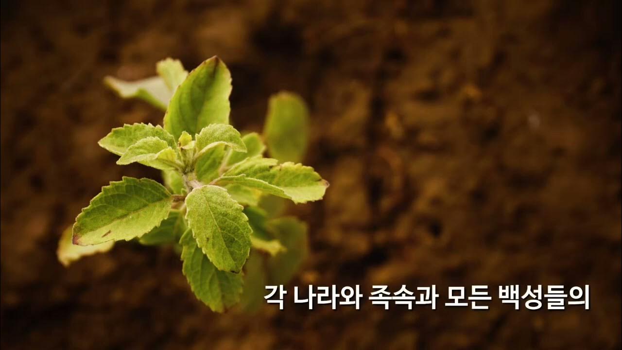 색소폰 새벽 이슬같은 주의 청년들이 Youtube