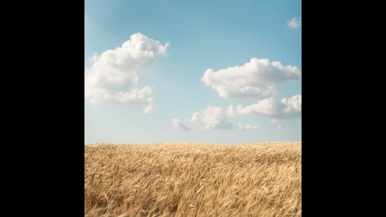 Full Trunk - לישון בעמידה (אקוסטי) Chords - Chordify